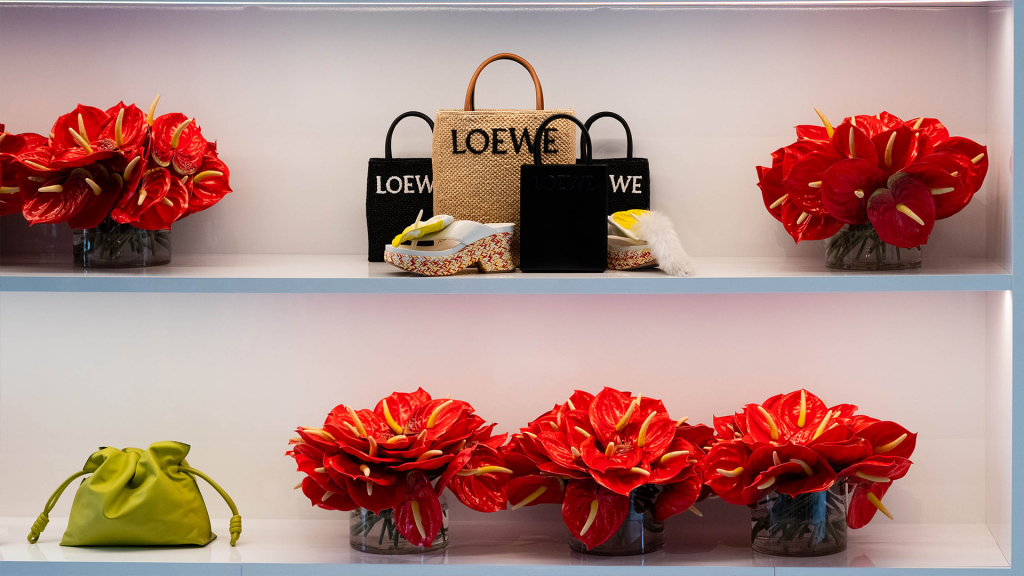 Loewe | Pardgroup