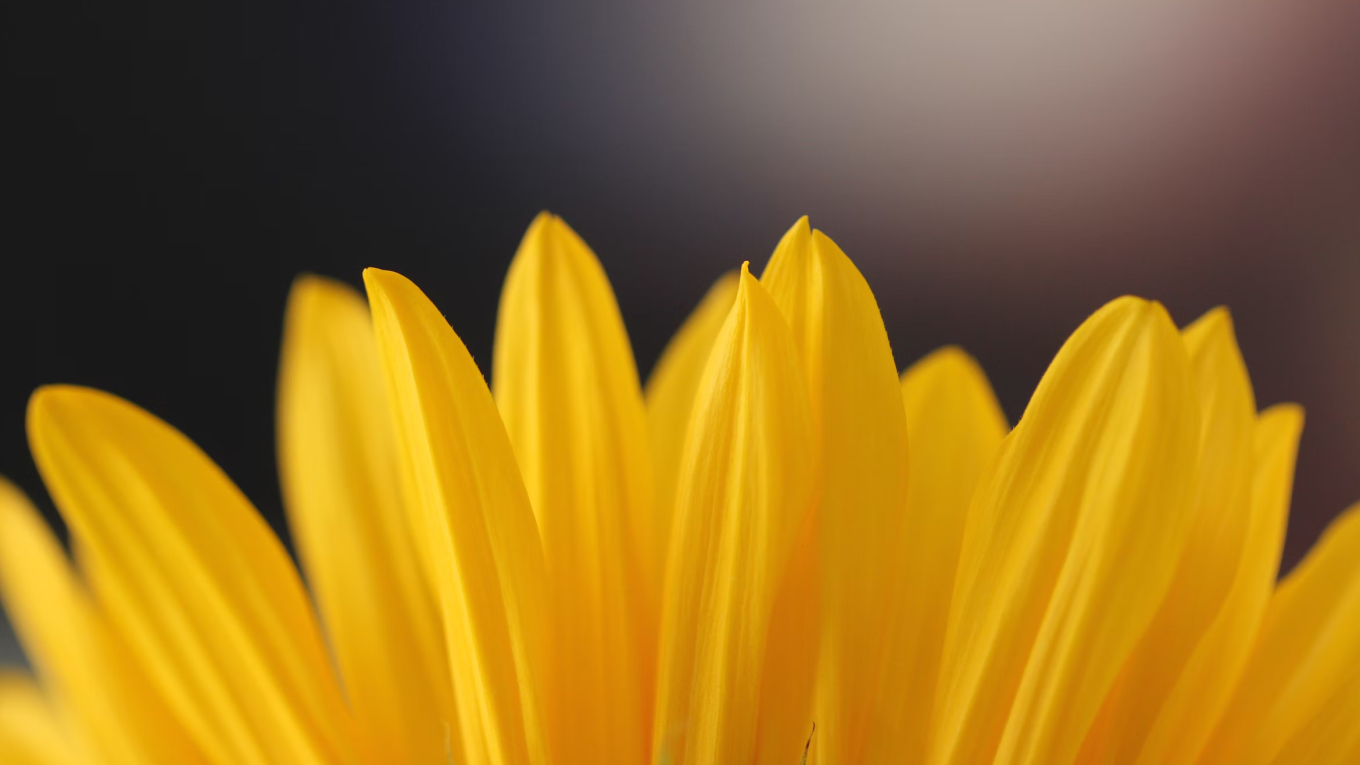 Sustainability | Pardgroup