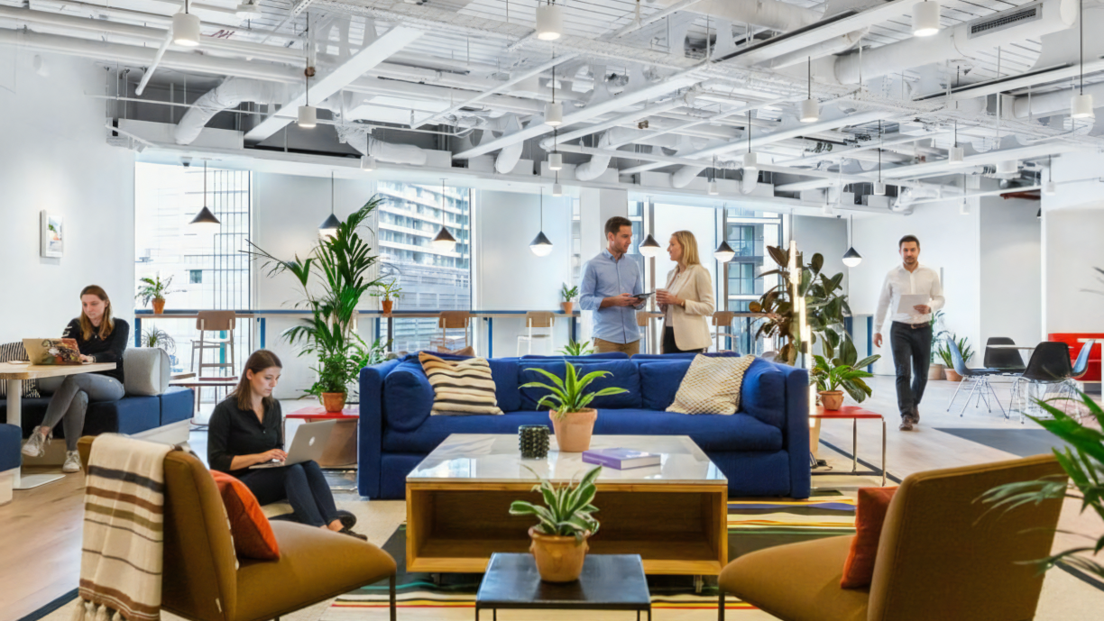 About Us | Pardgroup